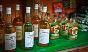 Lanzones Festival: Camiguin’s Sweet Celebration - HICAPS