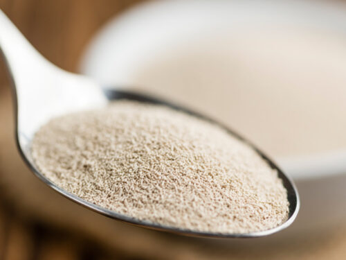 The Ultimate Guide to Using Instant Dry Yeast - HICAPS Mktg. Corp.