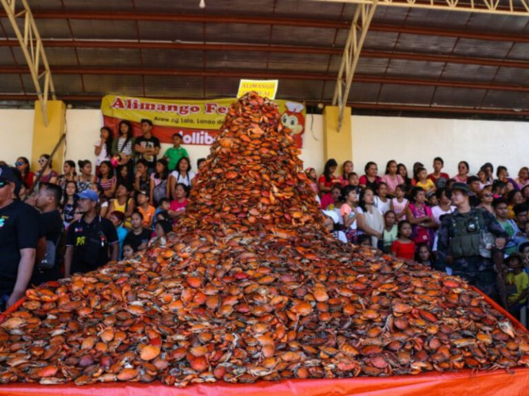 Alimango Festival: Get Your Claws Into the Fun - HICAPS Mktg. Corp.