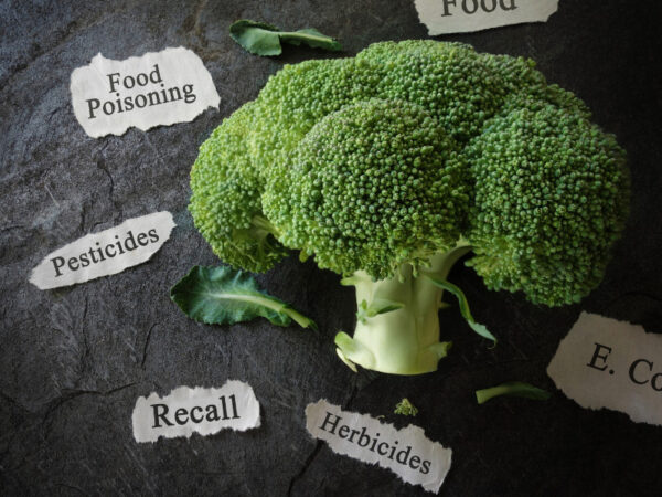 Why Food Safety and Sanitation Matter for Food Businesses - HICAPS Mktg ...